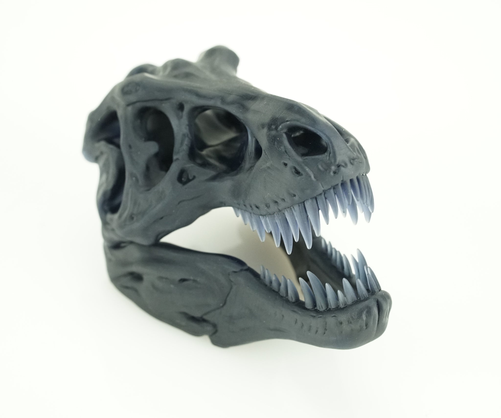 Scale T Rex skull – Tech Factory Racing